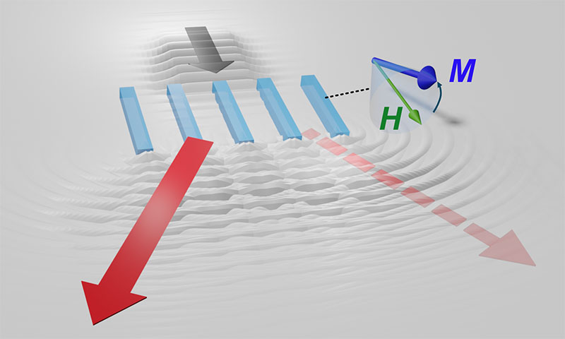 New acoustic wave phenomenon discovered