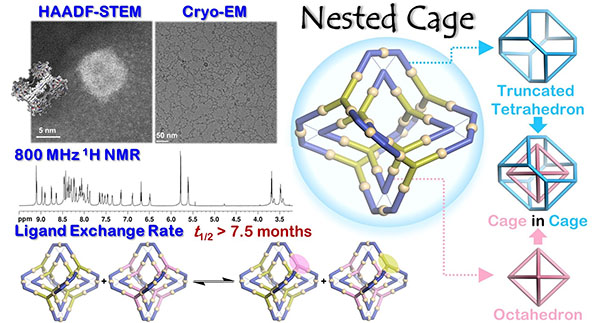 Robust molecular cage inspired by nature's nested design