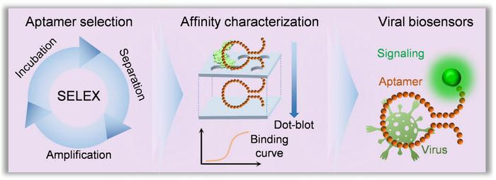 Aptamer biosensor technology could transform how viruses are detected