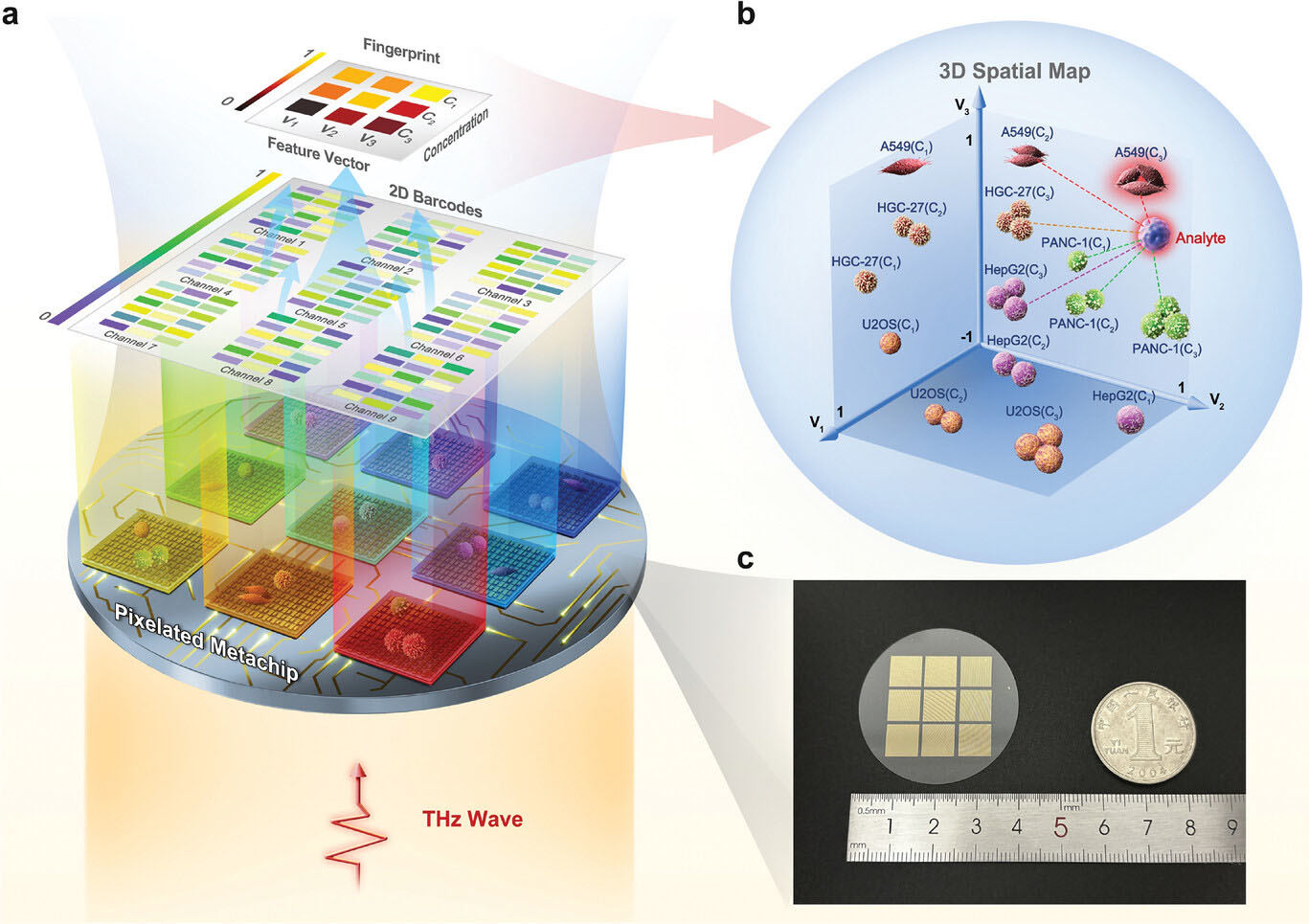 Compact terahertz sensor identifies cancer types with record ...
