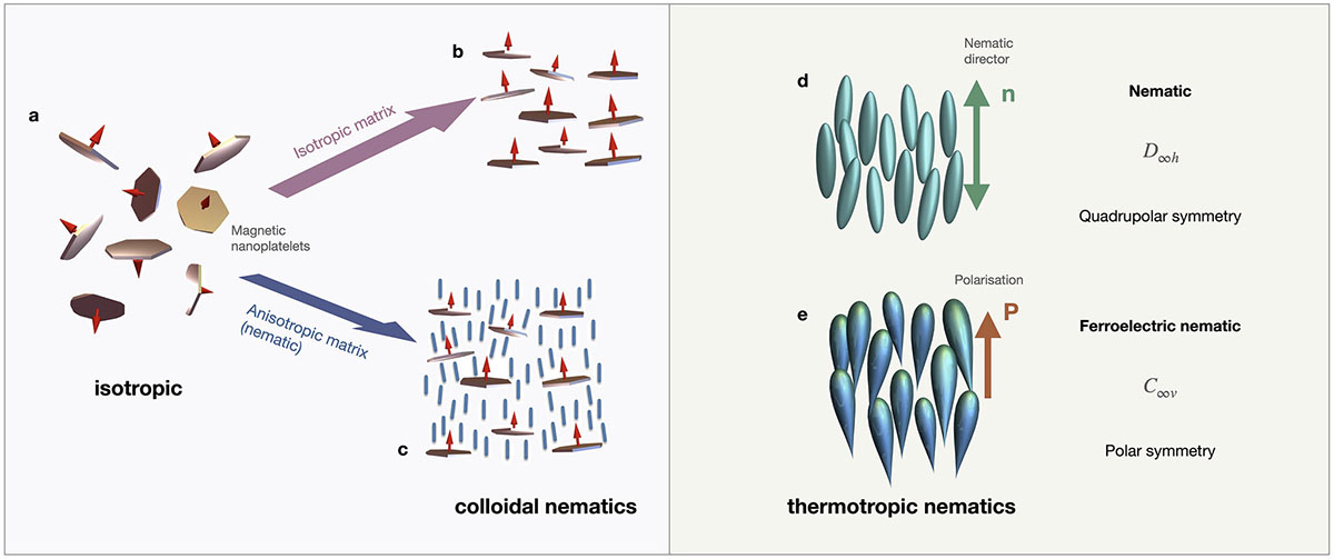 The first liquid multiferroic enables reconfigurable soft technologies