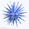 Spiky nanoparticles clear drug-resistant biofilms with ultrasound